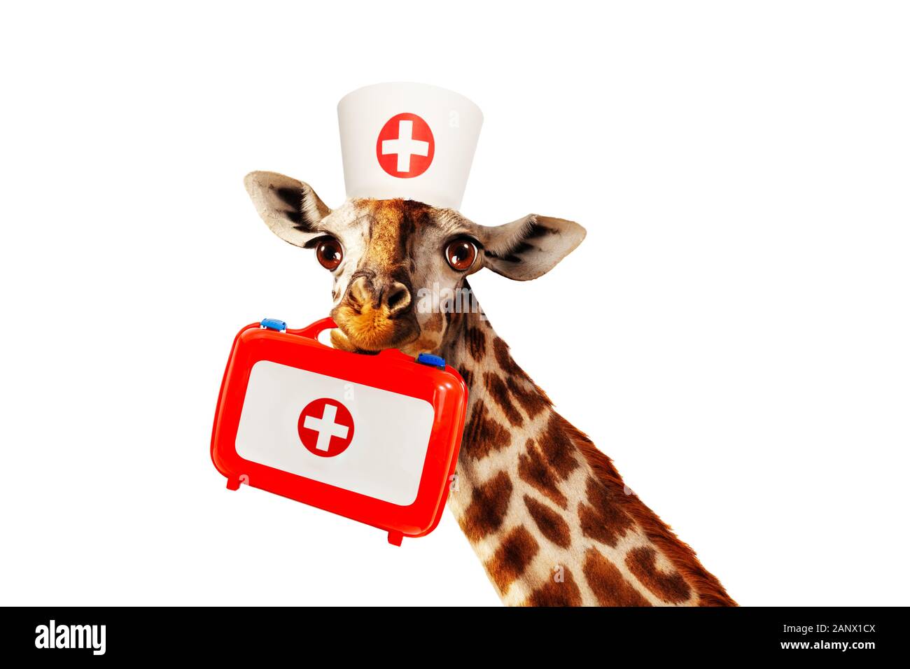 Happy doctor giraffe hold medical kit in mouse mixed media illustration ...