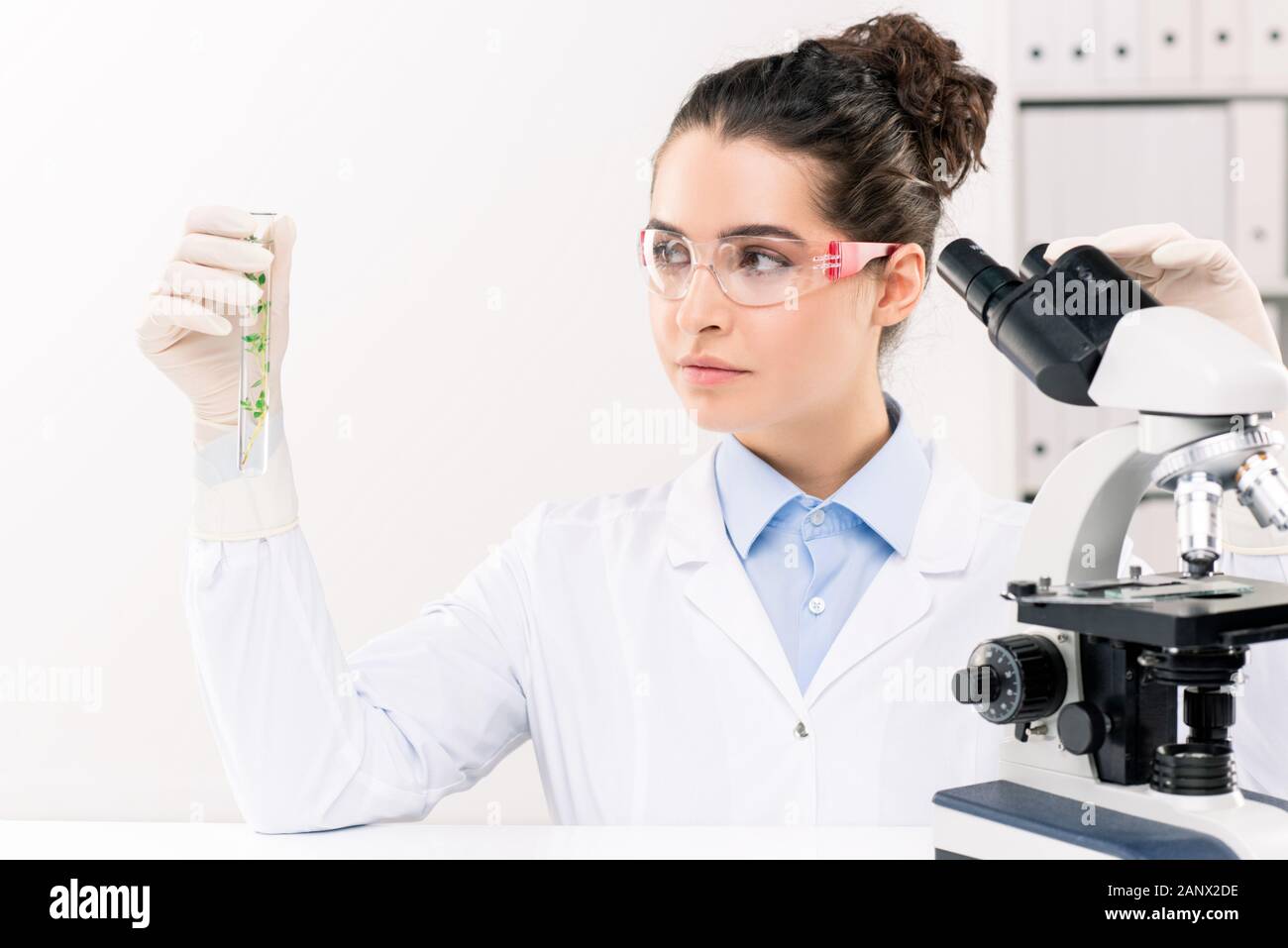 Young female biologist looking at flask while studying green plant in ...