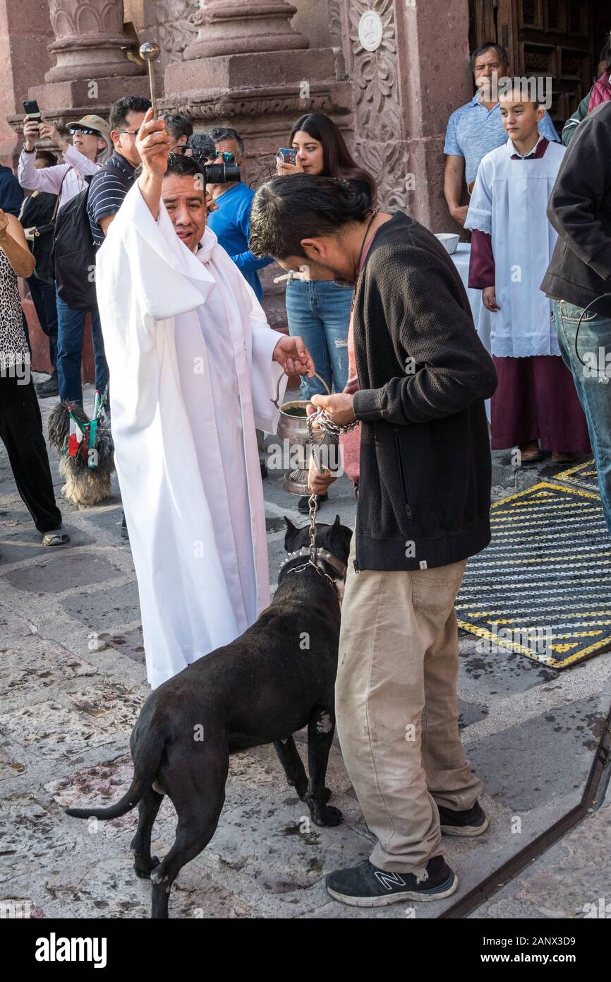 A Roman Catholic priest blesses dogs and their owners during the annual ...