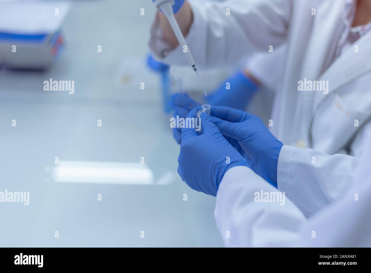 Two Young scientists working in a laboratory and doing research ...