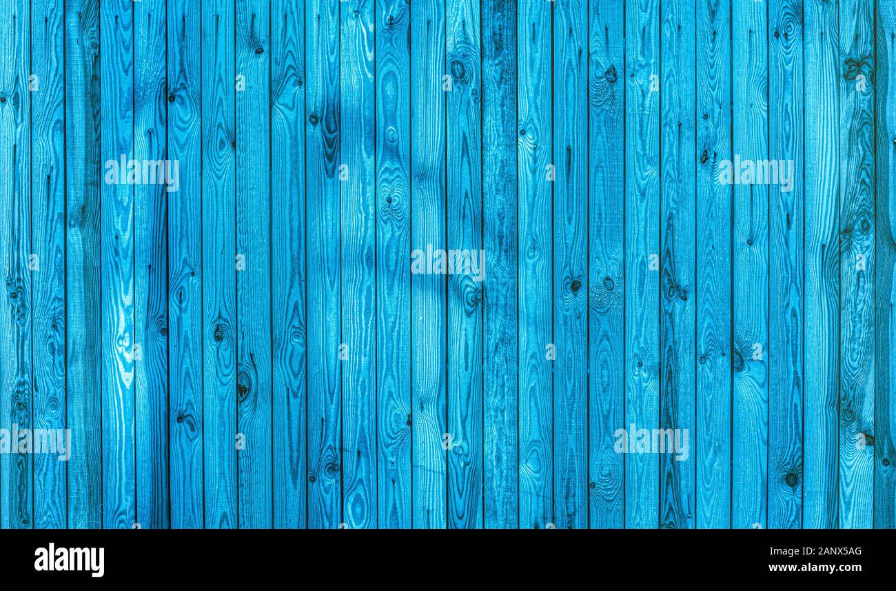 Dark blue background tree textured. Top view with empty space Stock ...