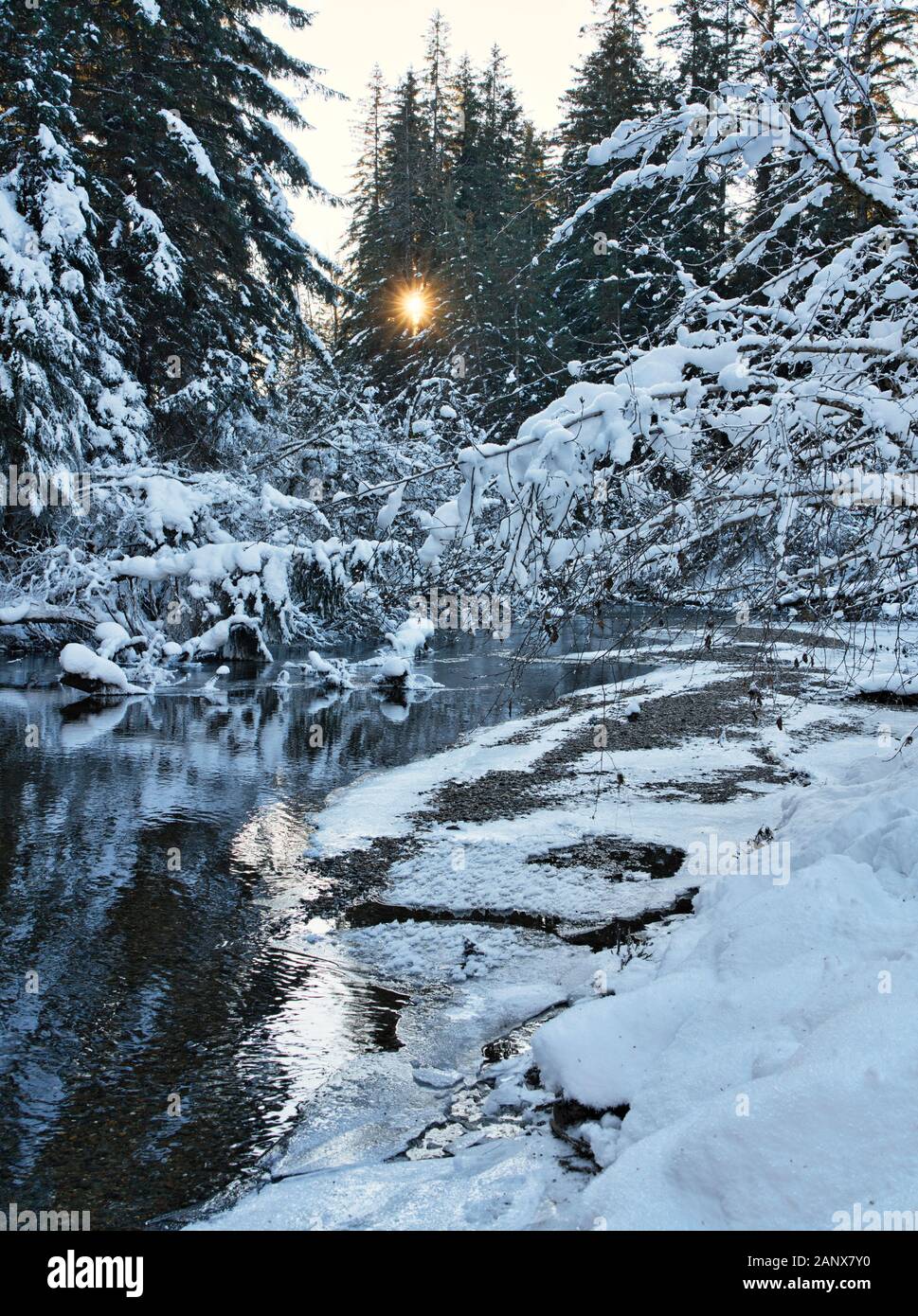Frosty winter scene hi-res stock photography and images - Alamy