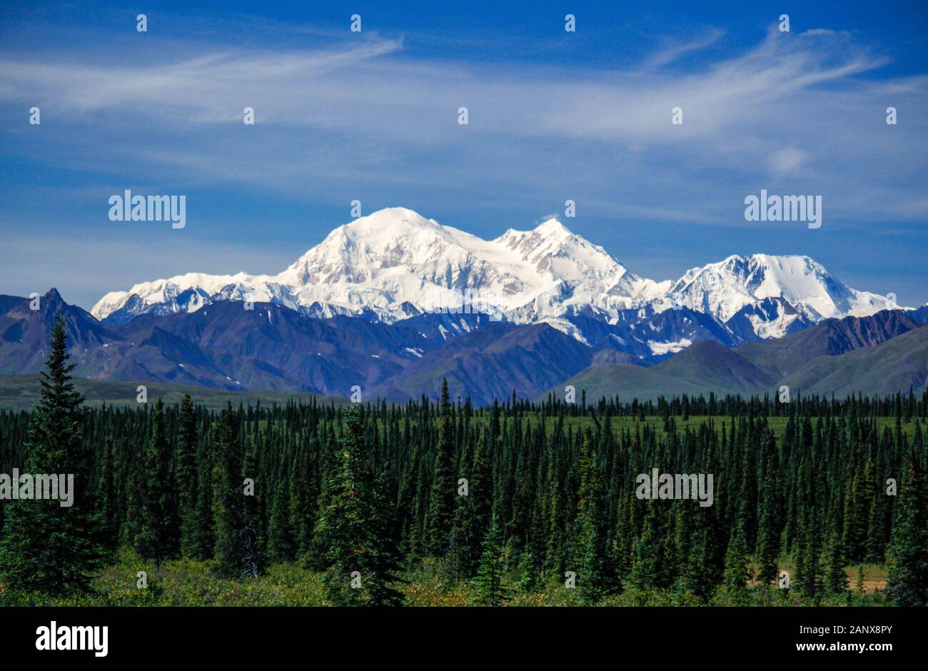 From denali highway hi-res stock photography and images - Alamy