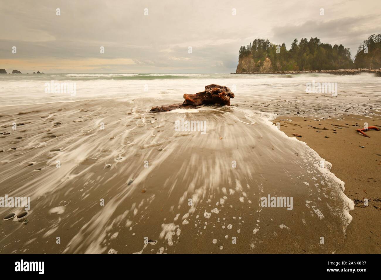 Landscape of First beach of Olympic National Park, Washington, USA ...