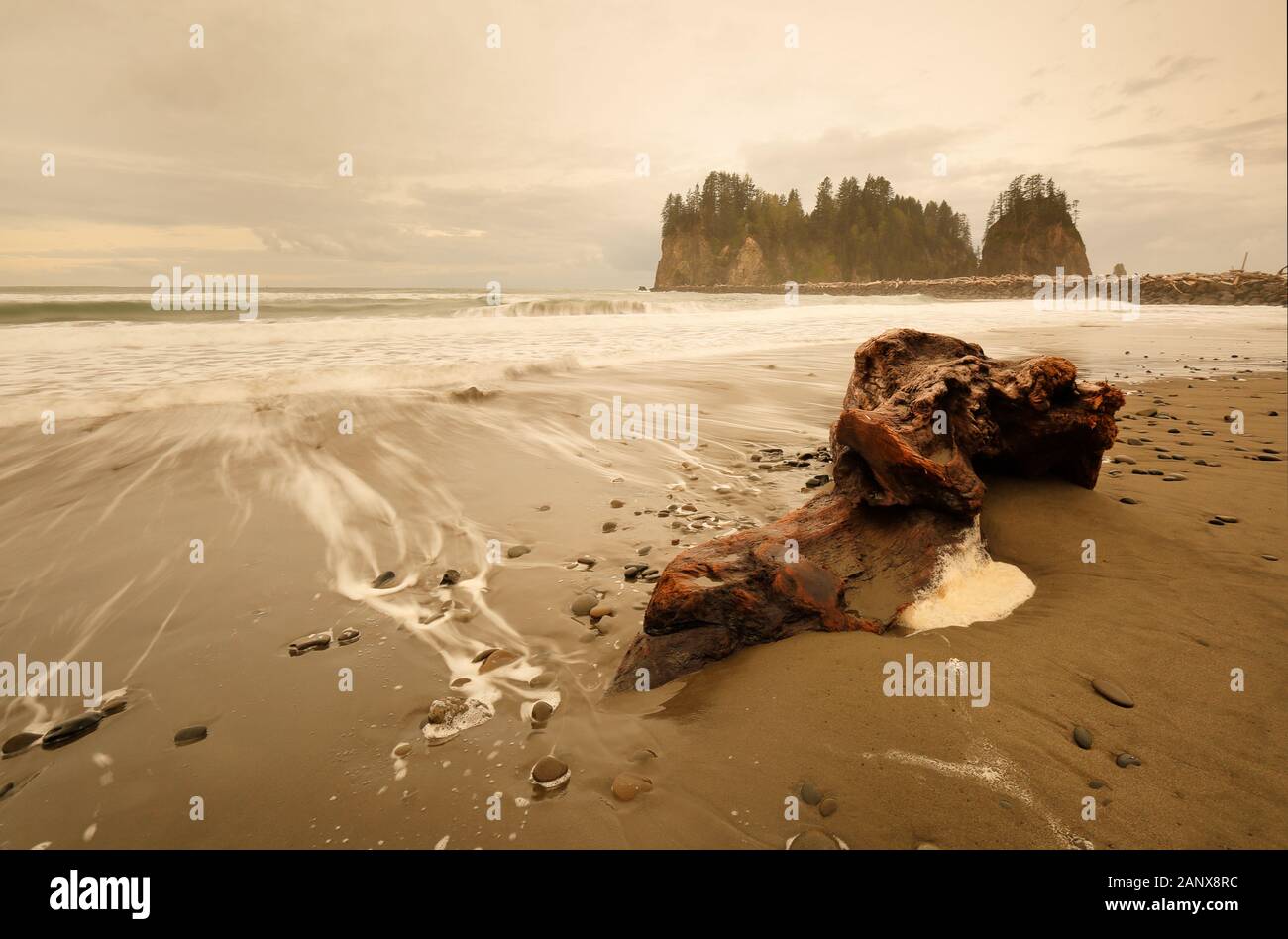 Landscape of First beach of Olympic National Park, Washington, USA ...