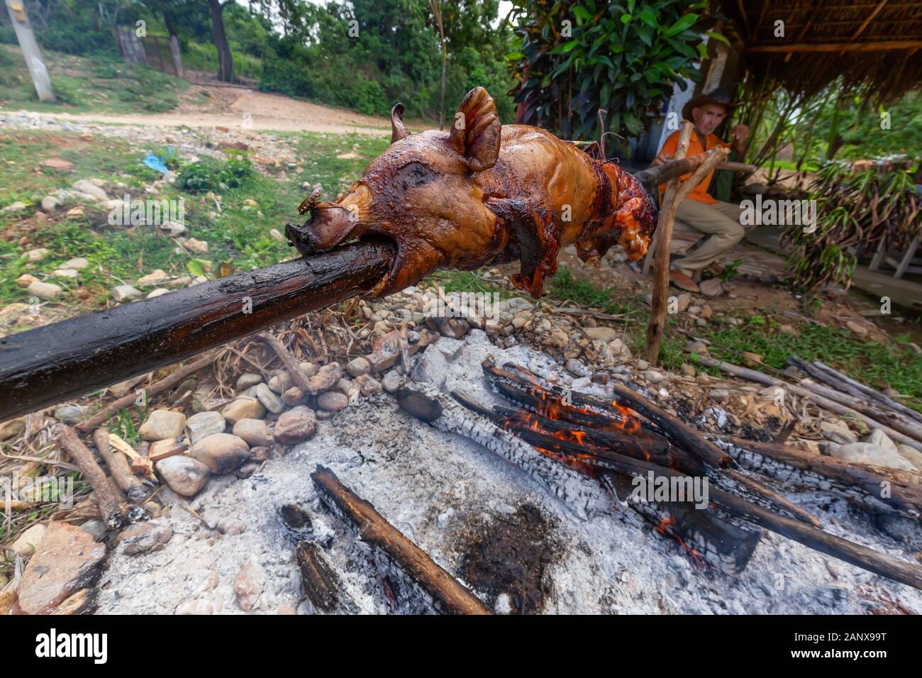 Pig roasted on a fire in the country side Stock Photo - Alamy