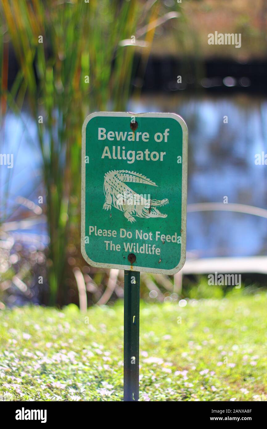 Alligator Warning Sign, Florida Stock Photo - Alamy