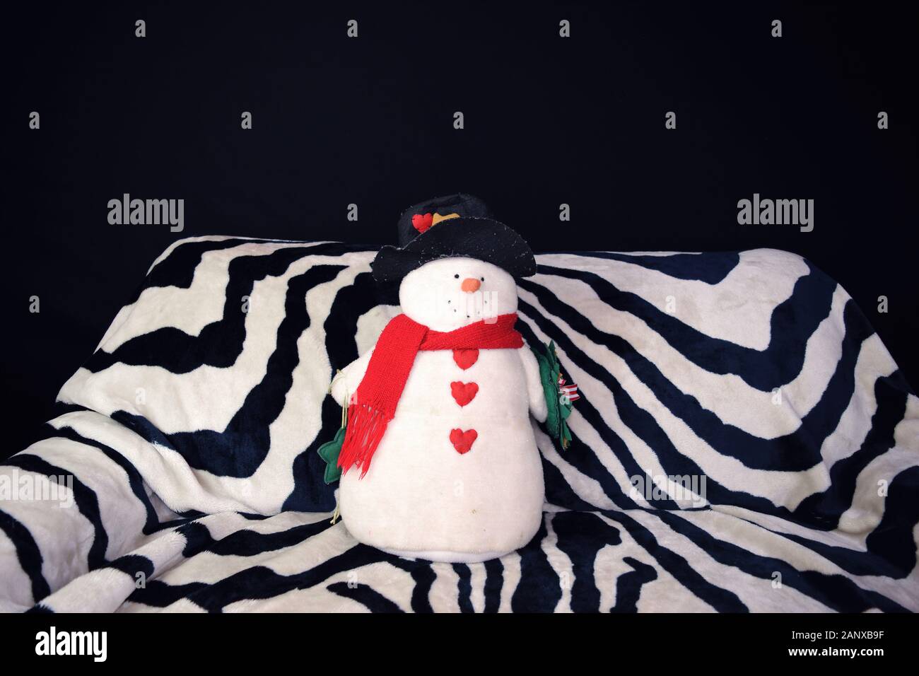 Zebra blanket hi-res stock photography and images - Alamy