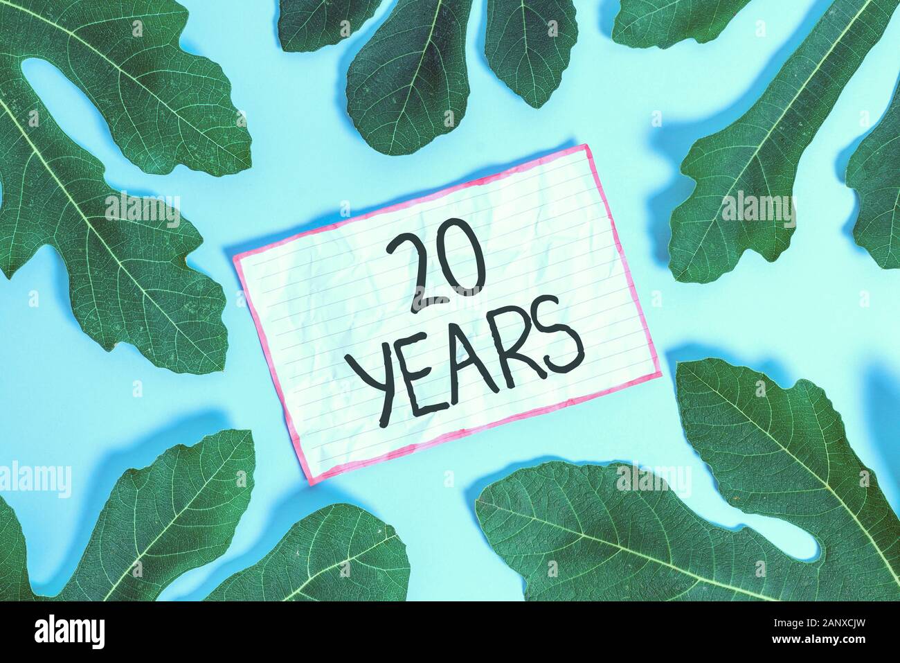 Handwriting text writing 20 Years. Conceptual photo Remembering or ...