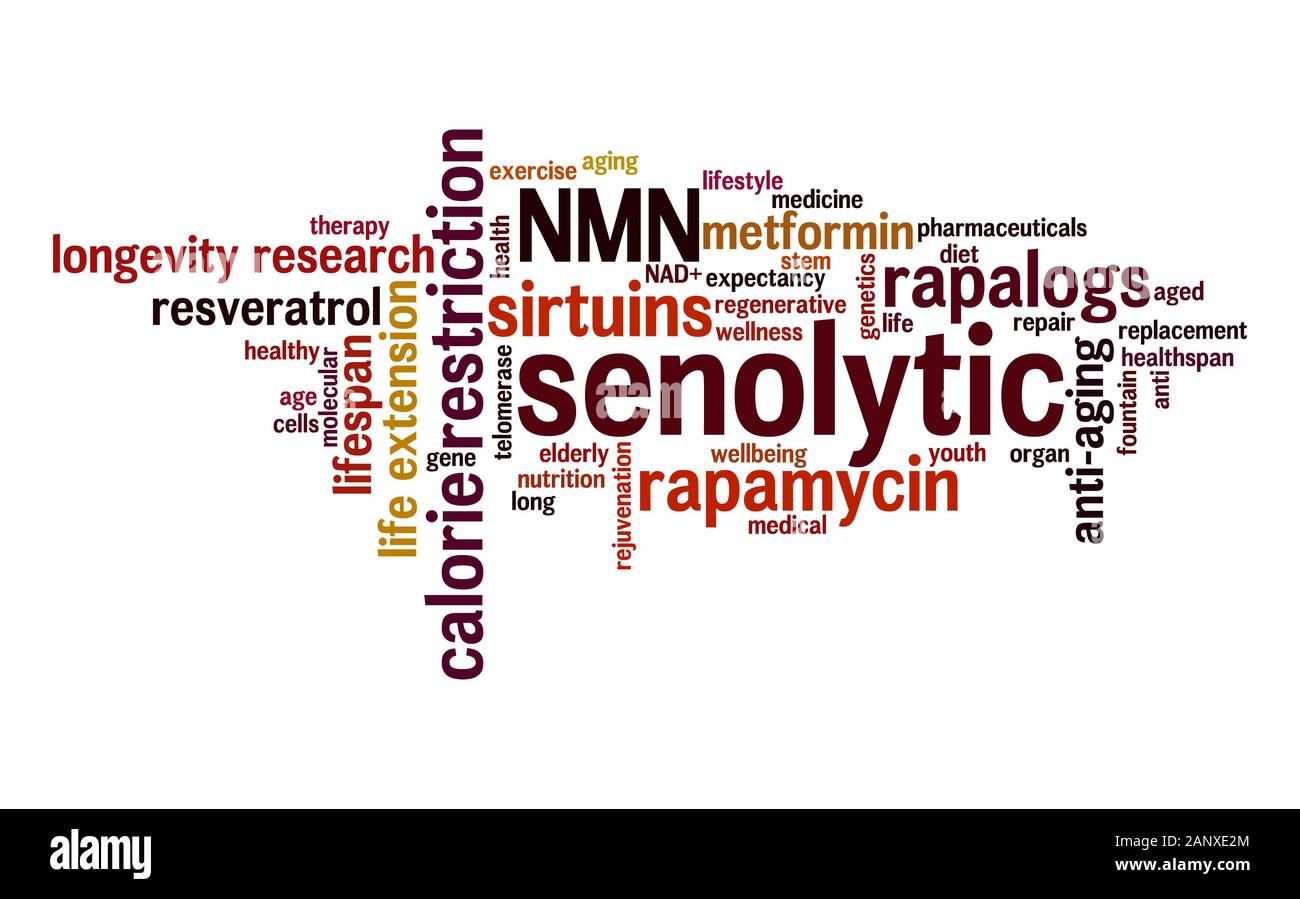 Senolytic static word cloud. Typography Stock Photo - Alamy