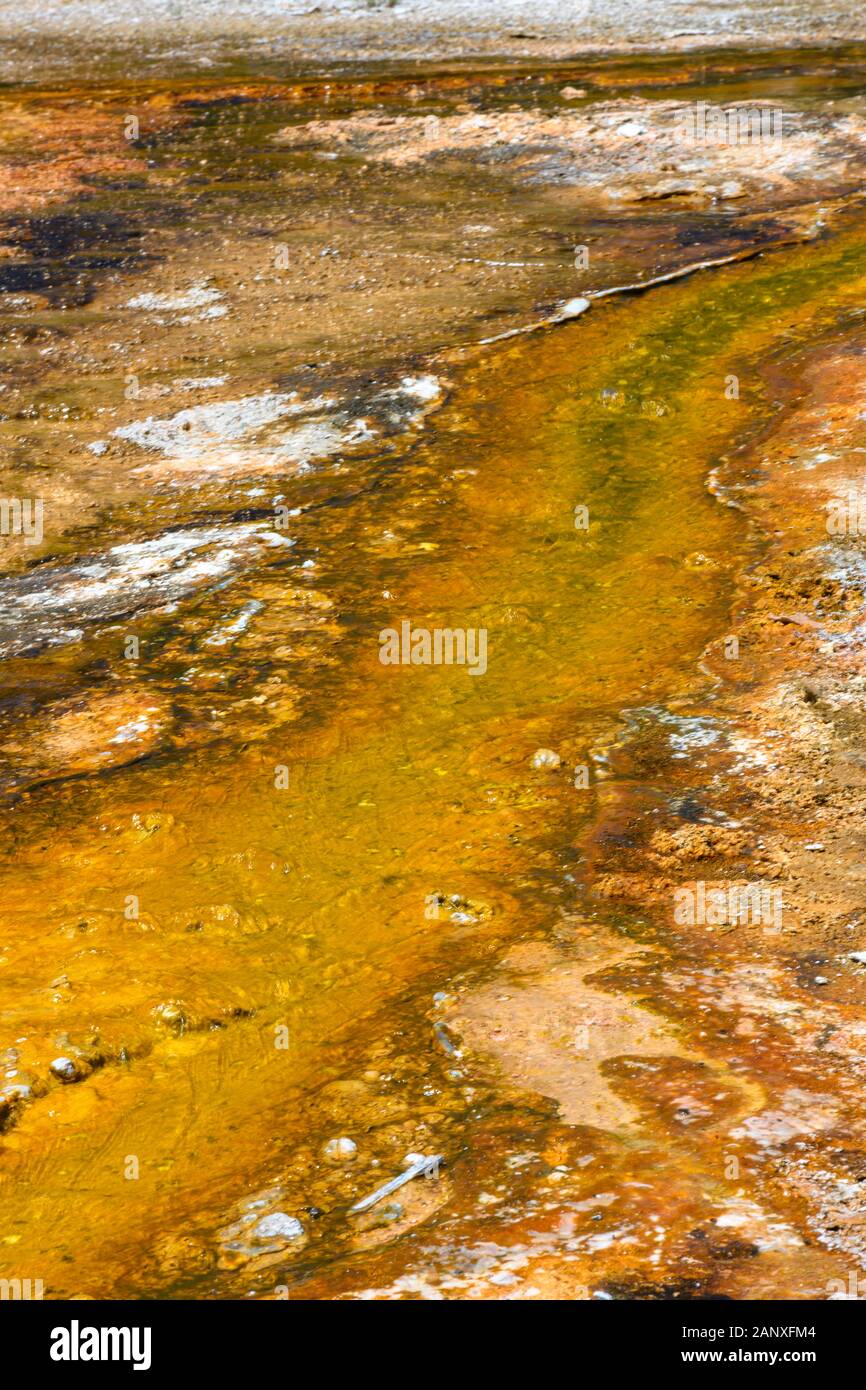 Yellow Sulfur Stream from Hot Spring in Yellowstone Stock Photo - Alamy