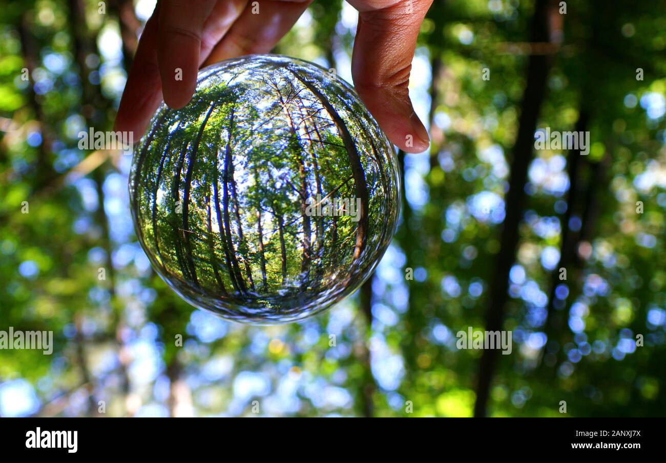 The green forest captured through a crystal lens ball Stock Photo - Alamy