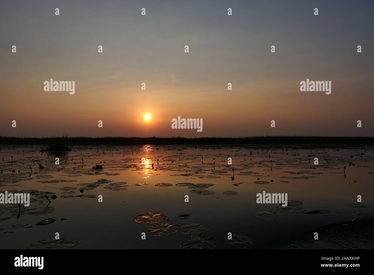 Sunset Over Water With Sky