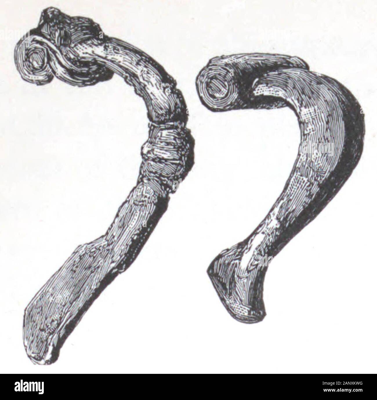 fibulae from Castlecary Stock Photo - Alamy