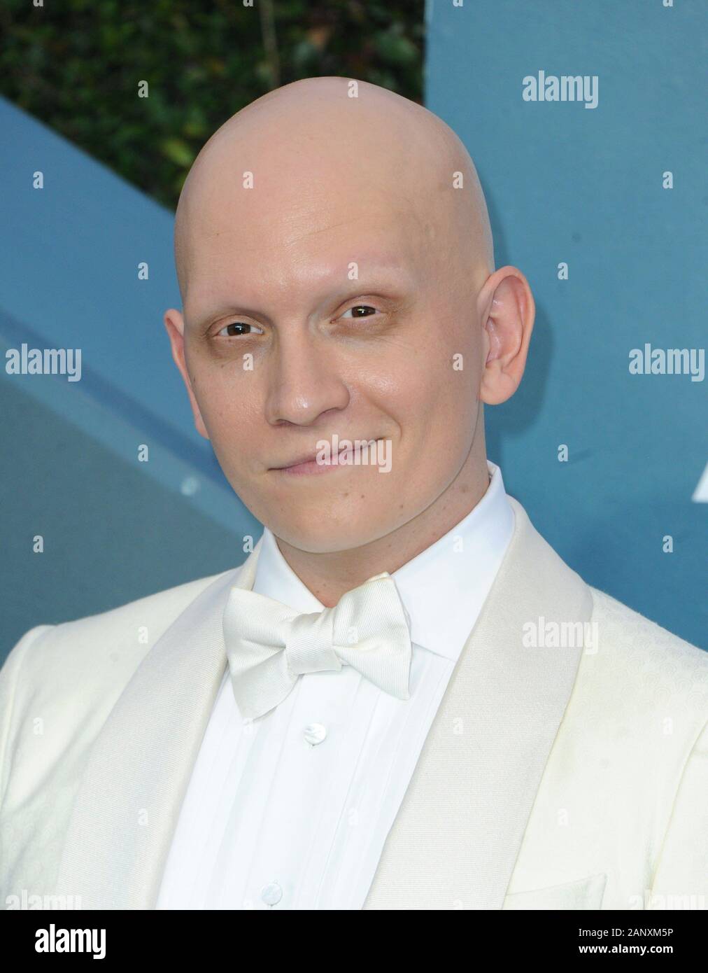 Los Angeles, CA. 19th Jan, 2020. Anthony Carrigan at arrivals for 26th ...