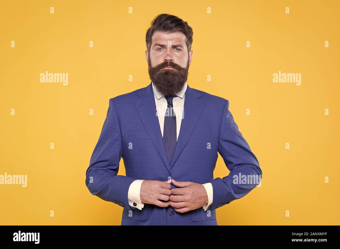 Success is Mission. handsome bearded man ceo. successful and ...