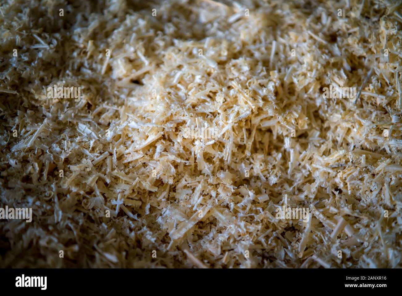 Saw dust hi-res stock photography and images - Alamy