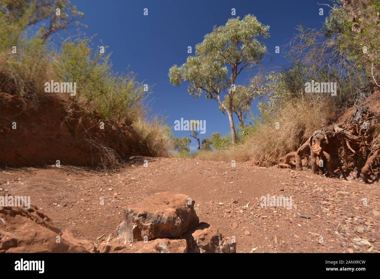 Dry channel bed in the Pilbara, Western Australia Stock Photo - Alamy