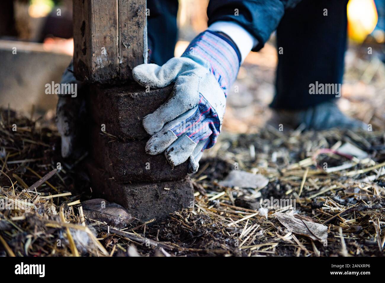 Man doing yard work hi-res stock photography and images - Alamy