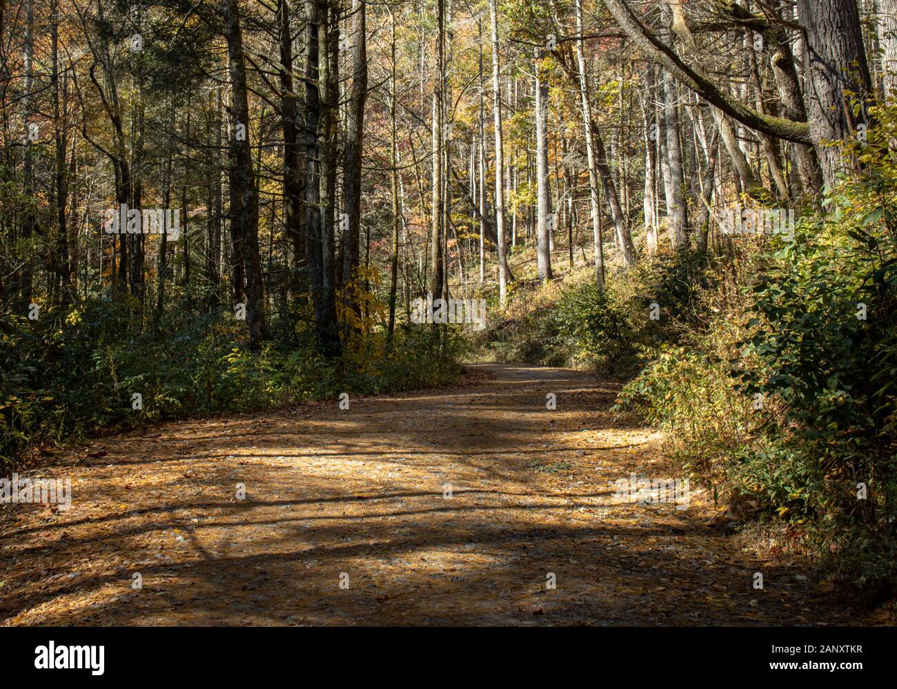 Back Road, Rabun County, Georgia. Late autumn morning along Wildcat ...