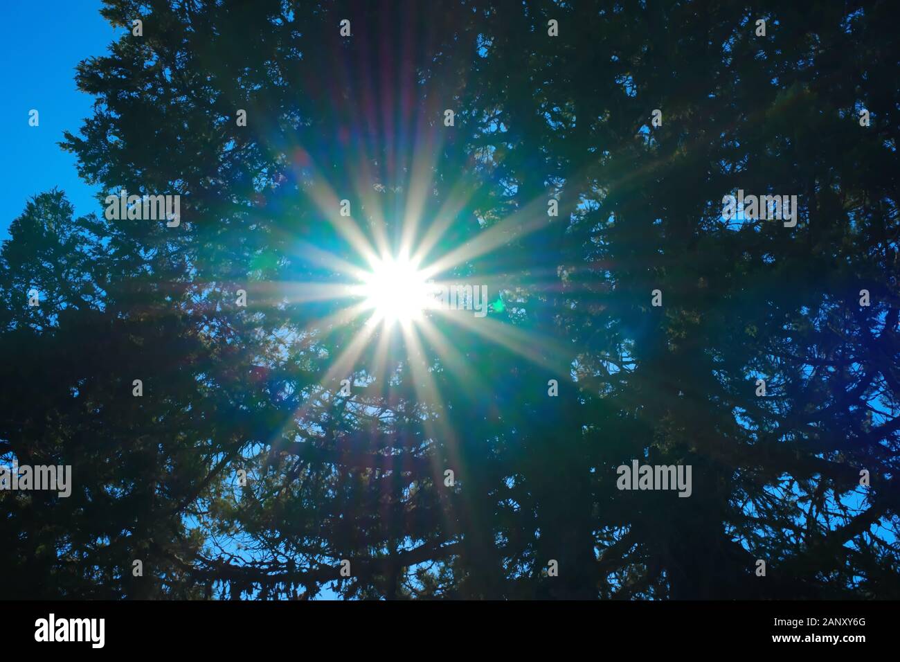 Natural lens flare. lens reflection of the sun in nature attraction ...