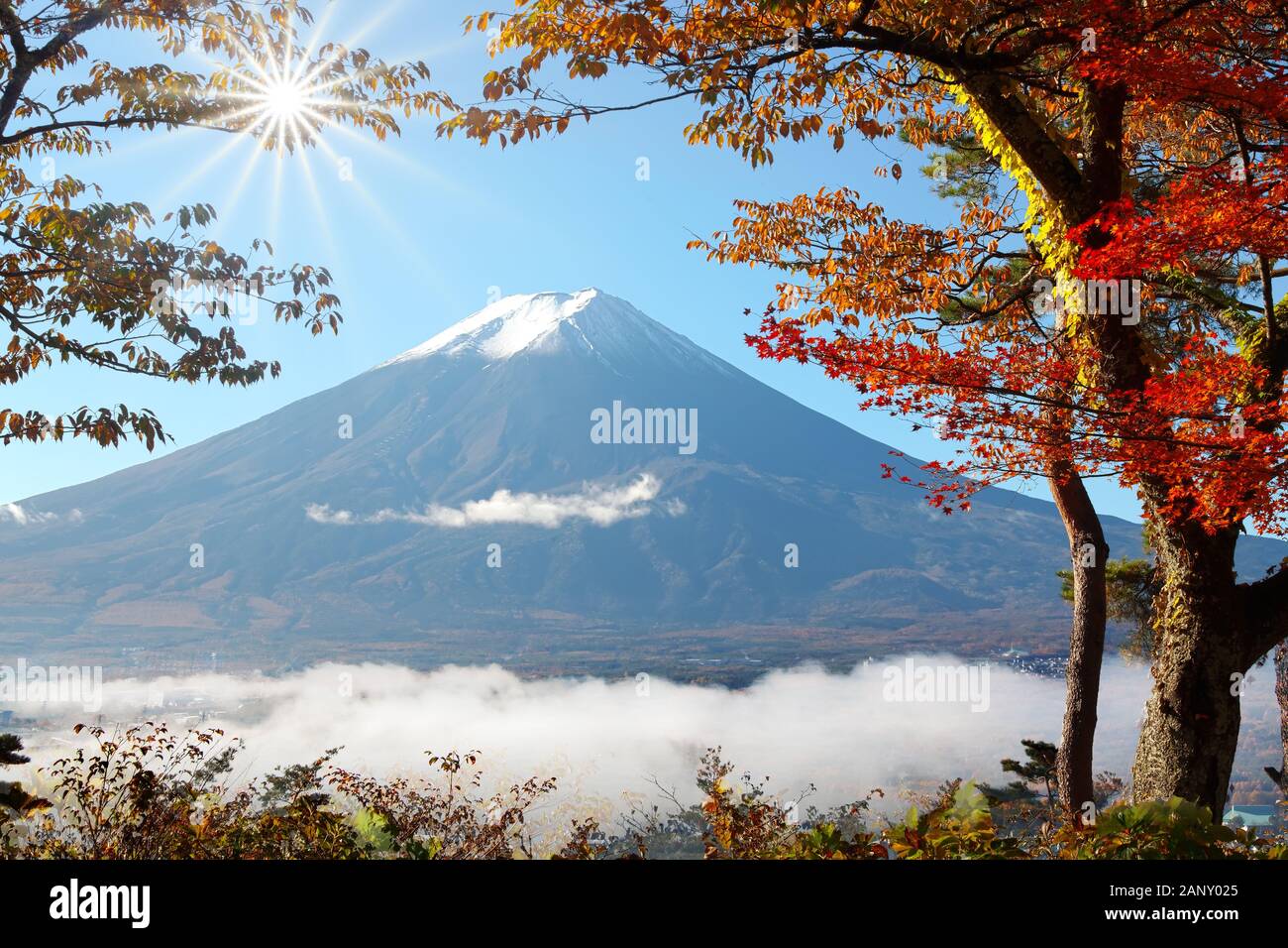 Mt fuji in autumn hi-res stock photography and images - Alamy