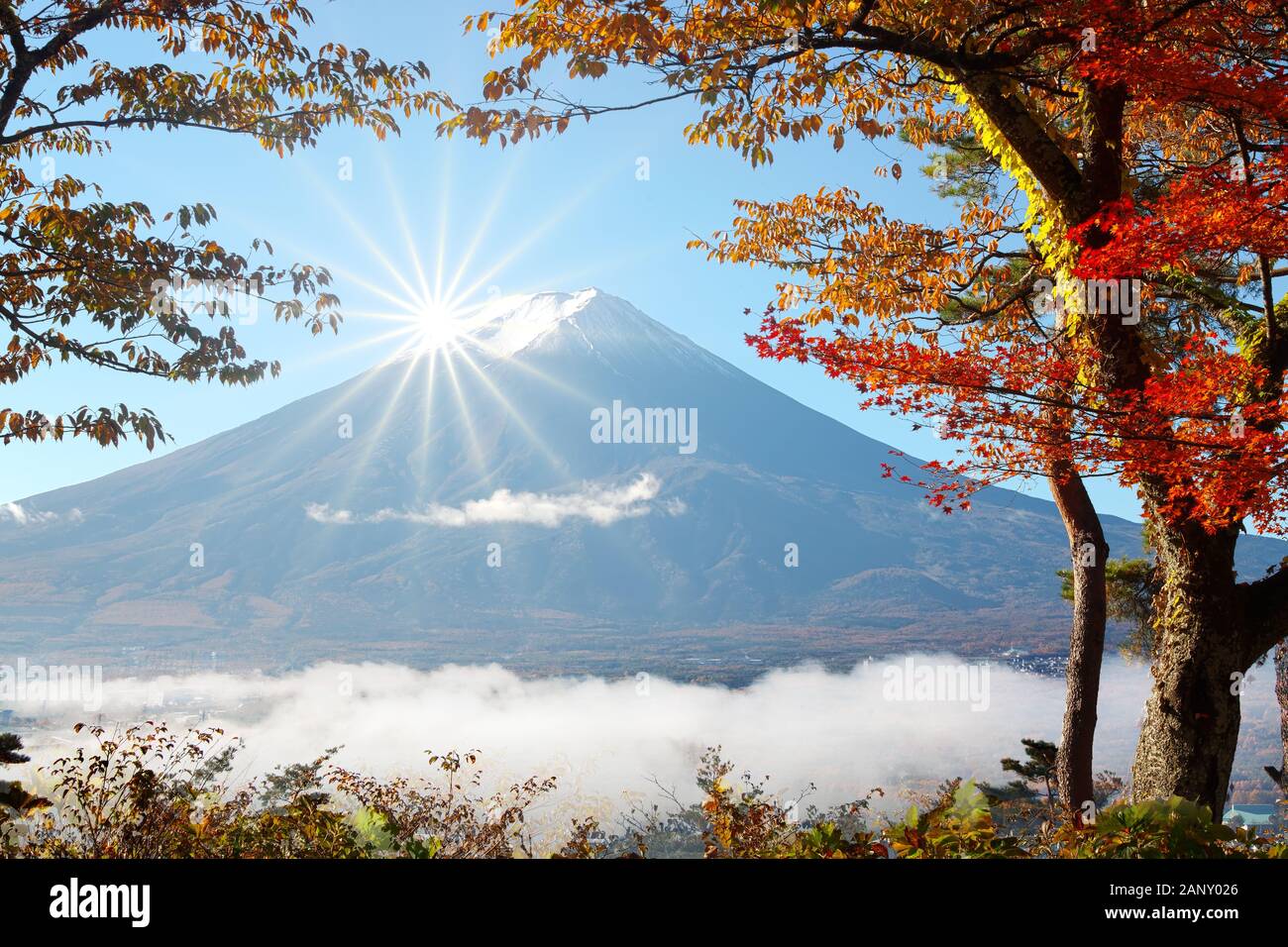 The Mt Fuji in autumn view from mid of mountaion Stock Photo - Alamy