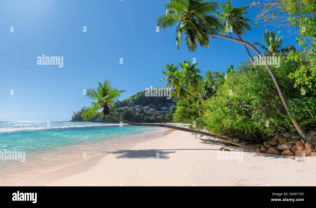 Paradise Sunny beach in tropical island Stock Photo - Alamy