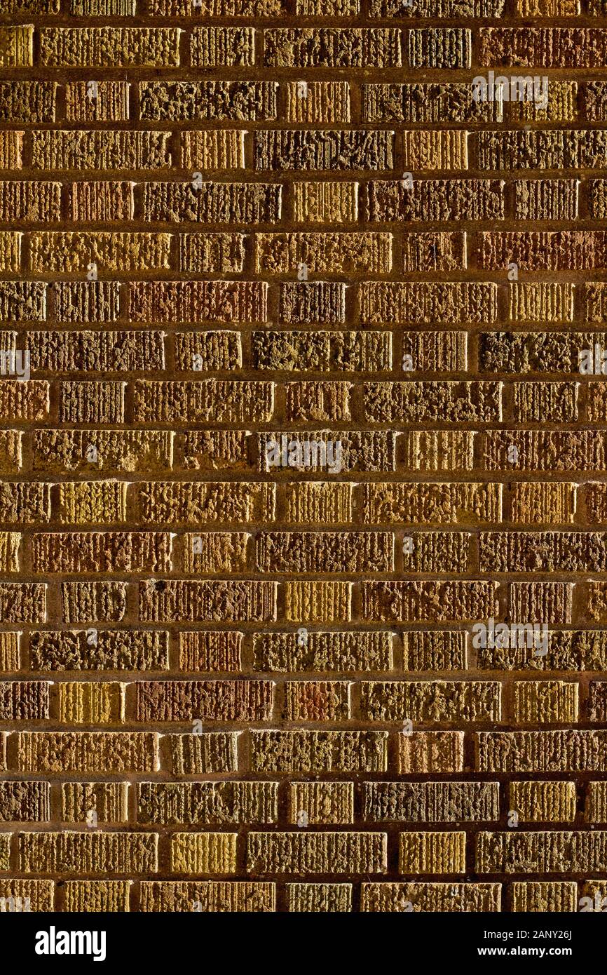 Greenish brown color exterior brick wall texture background with a ...