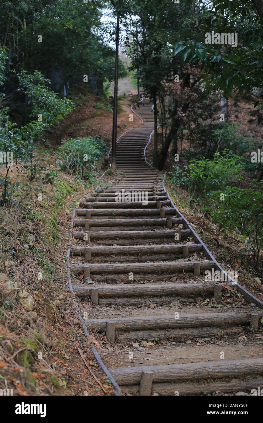step walkway in a nature park. wood log and compact dirt soil footpath ...