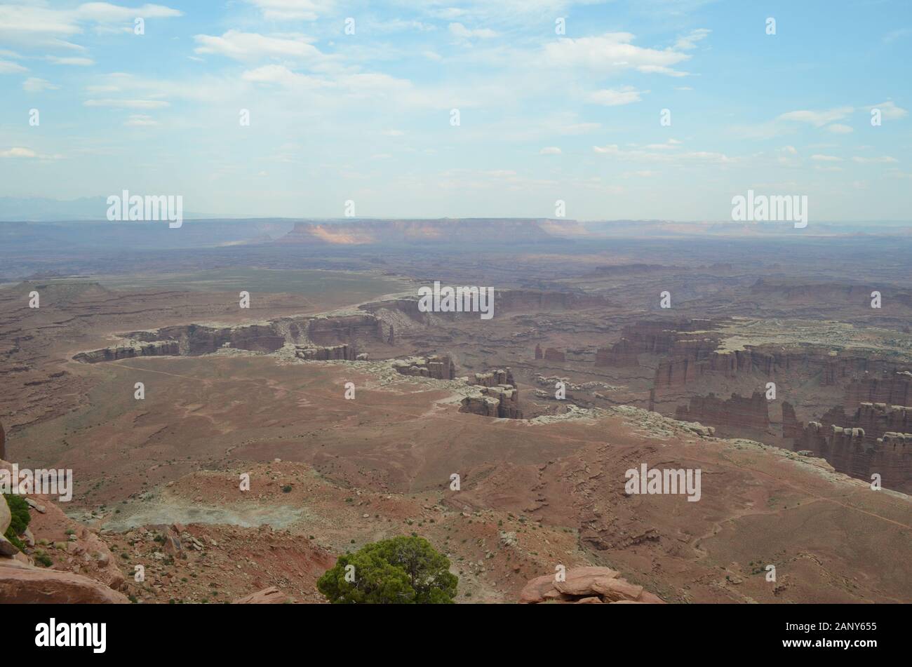 Summer in Utah: White Rim, Totem Pole, Monument Basin & Colorado River ...