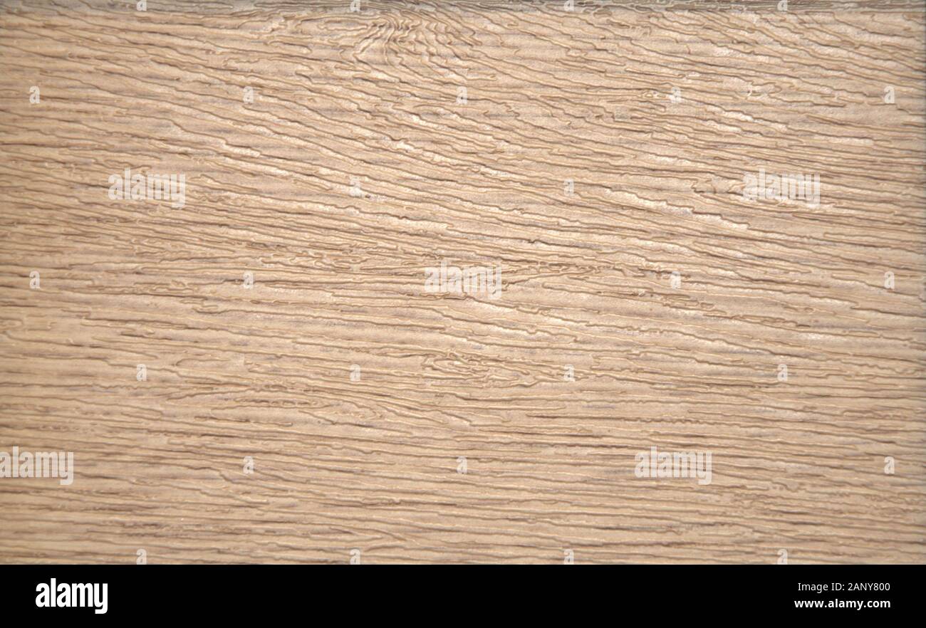 Light wood, natural pattern with stripes, closeup texture. Background ...