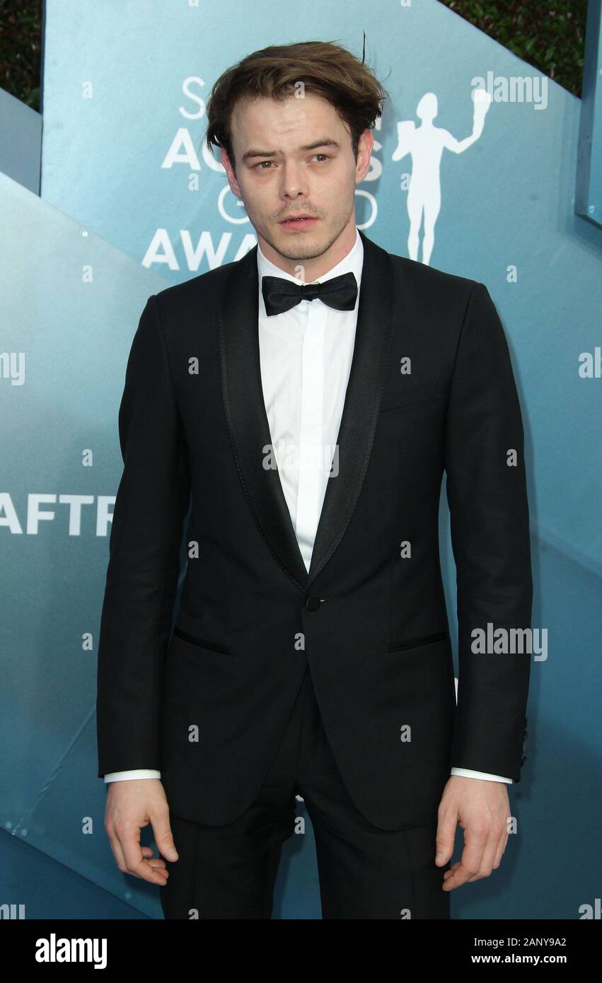 19 January 2020 - Los Angeles, California - Charlie Heaton. 26th Annual ...