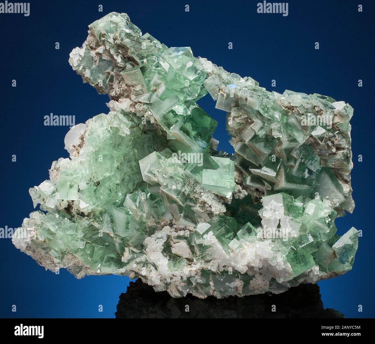 Gemstone studio hi-res stock photography and images - Alamy