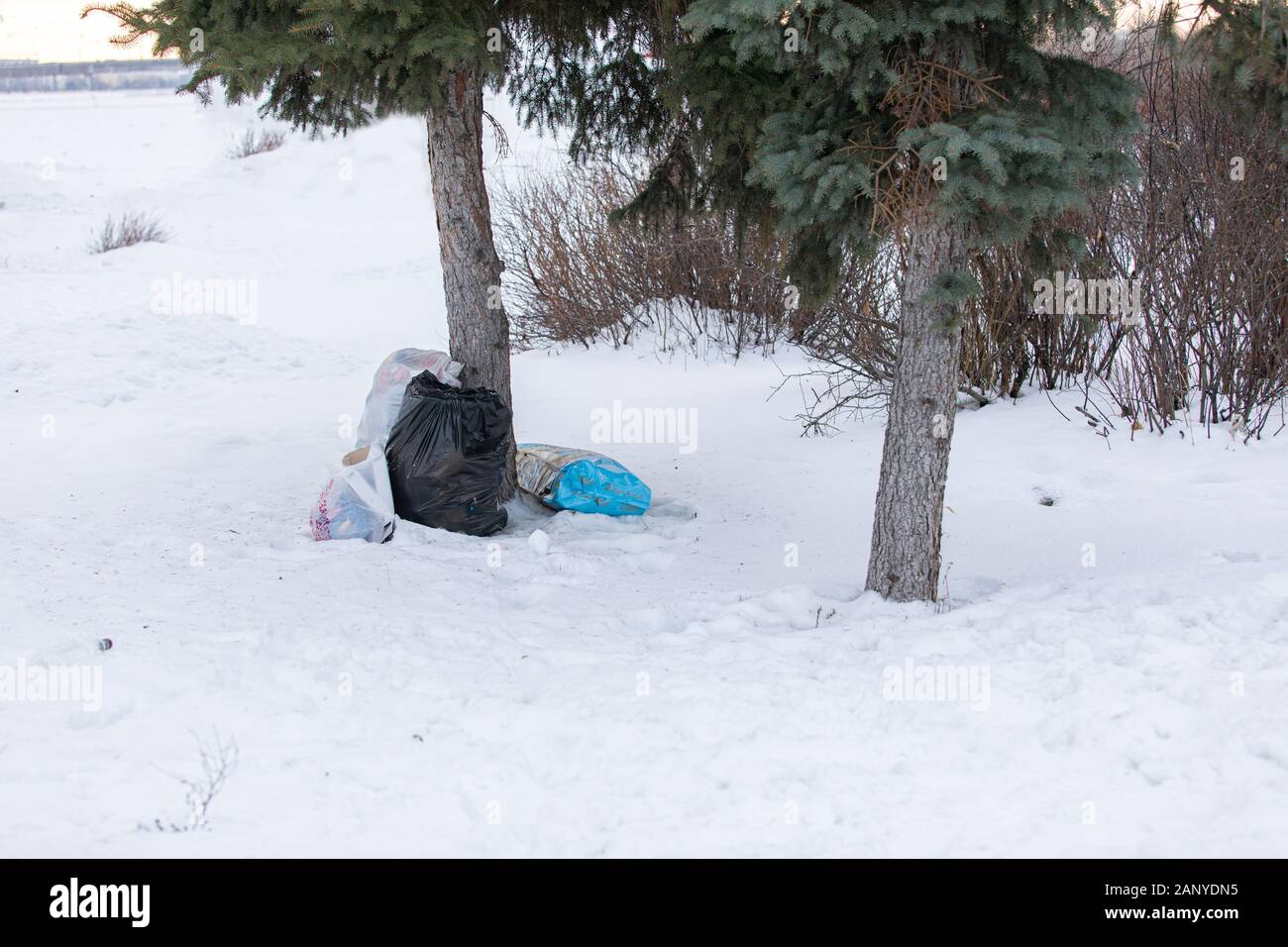 Trash Under Tree High Resolution Stock Photography and Images - Alamy