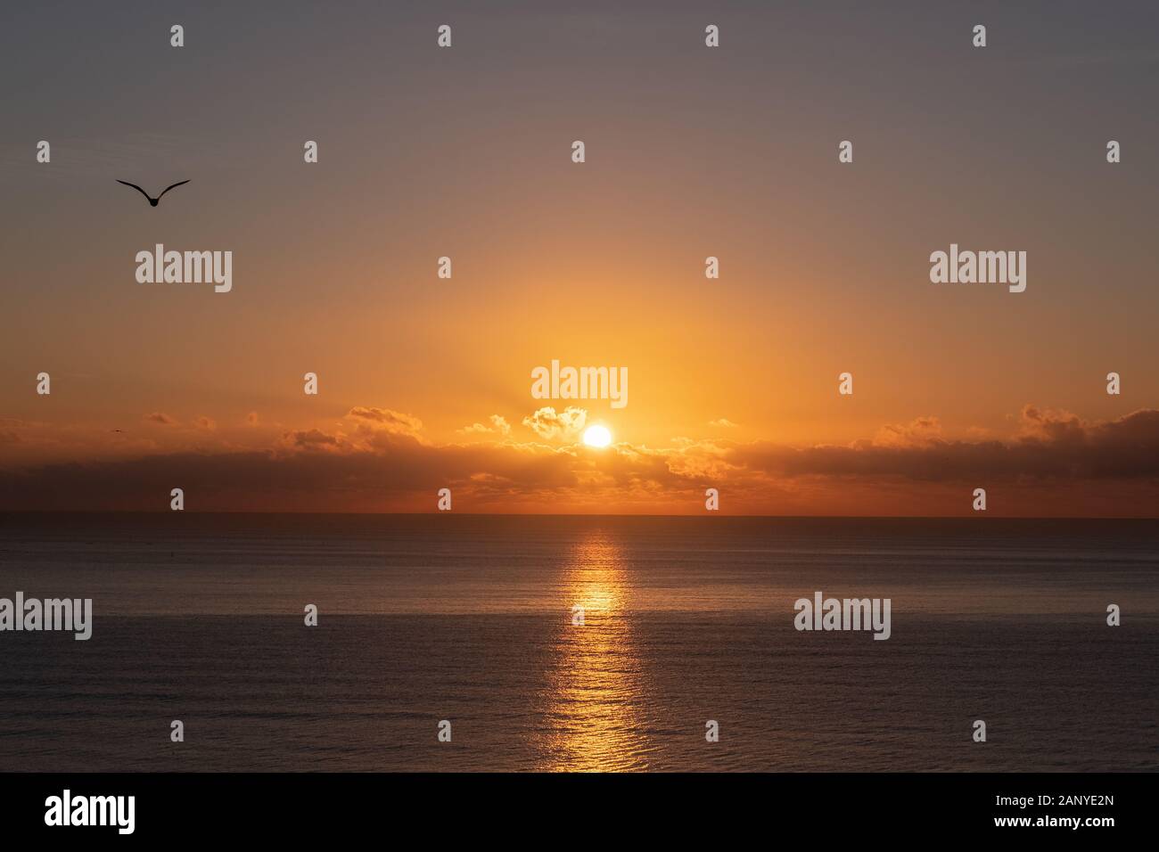 Horizon over water tranquil scene hi-res stock photography and images ...