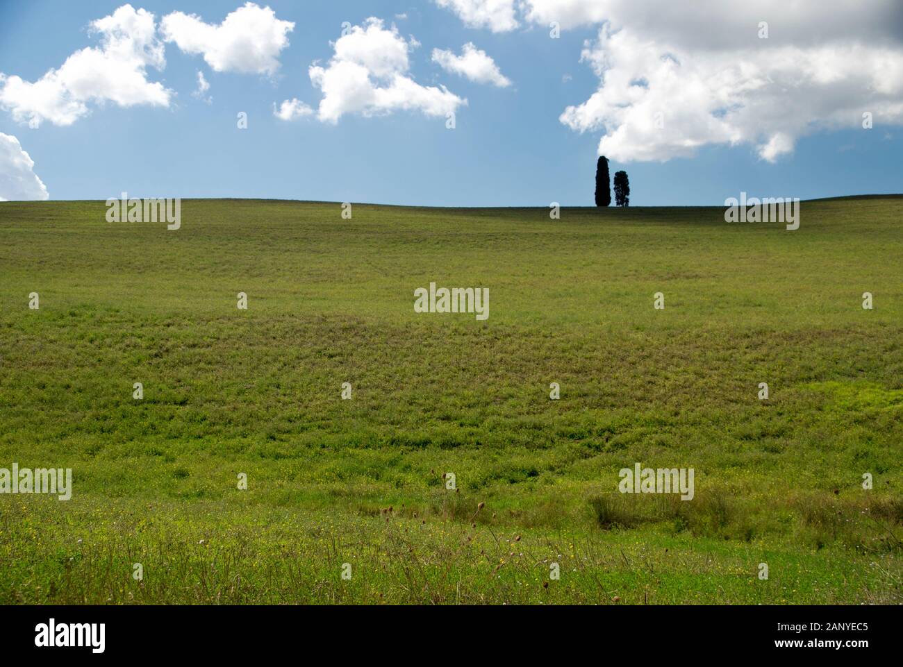 Simple trees hi-res stock photography and images - Alamy
