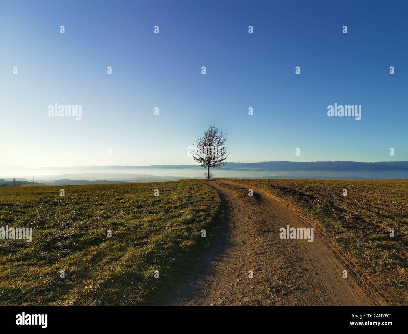 January scenery hi-res stock photography and images - Alamy