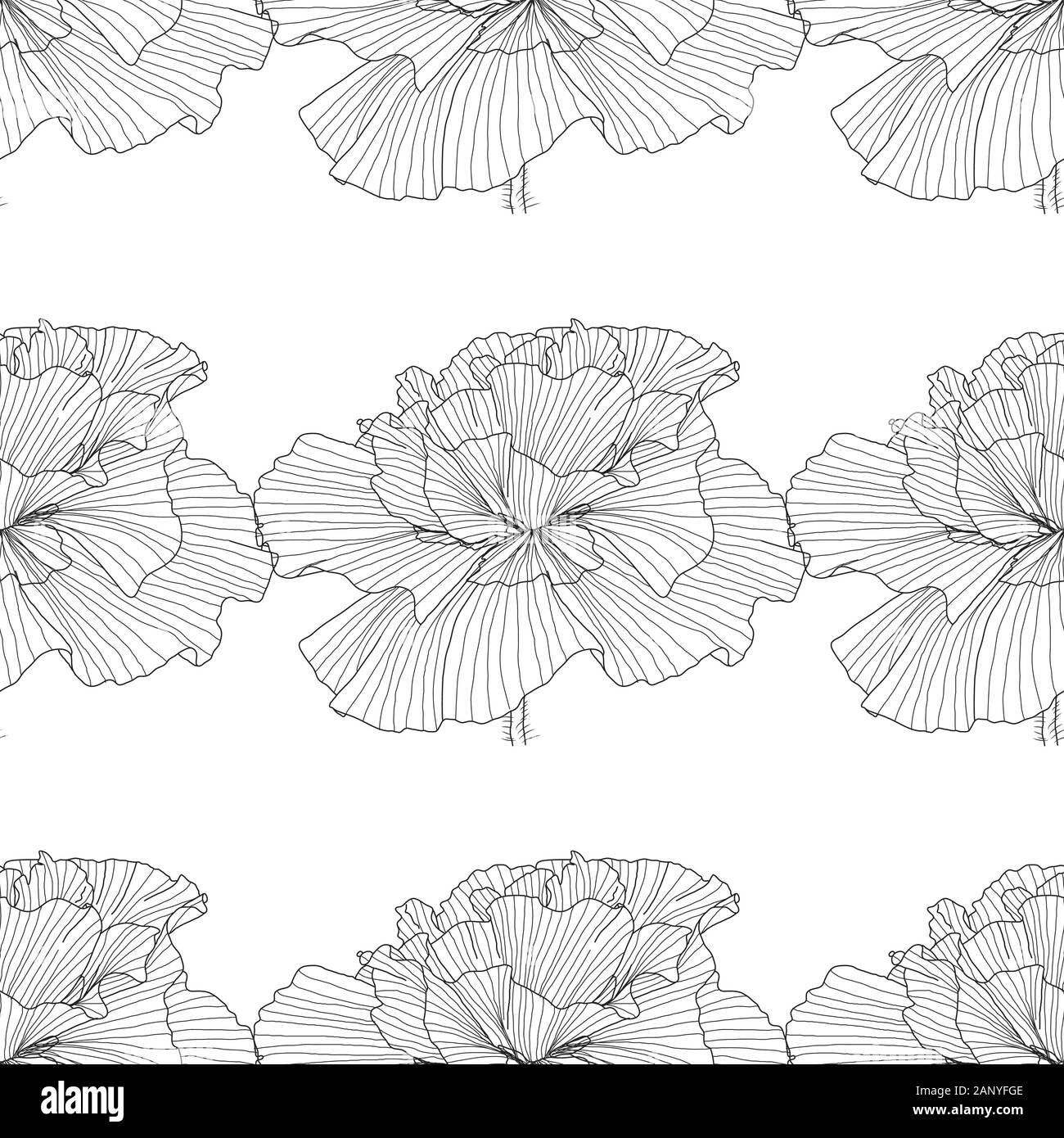 California poppy flowers drawn and sketch with line-art on white ...