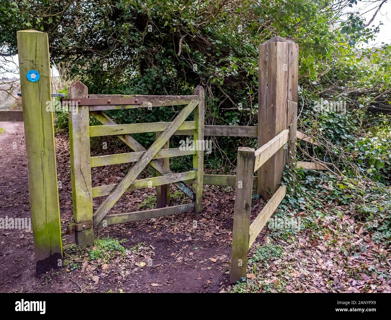 18 Mouldy green wooden kissing gates on a popular walking path in the ...