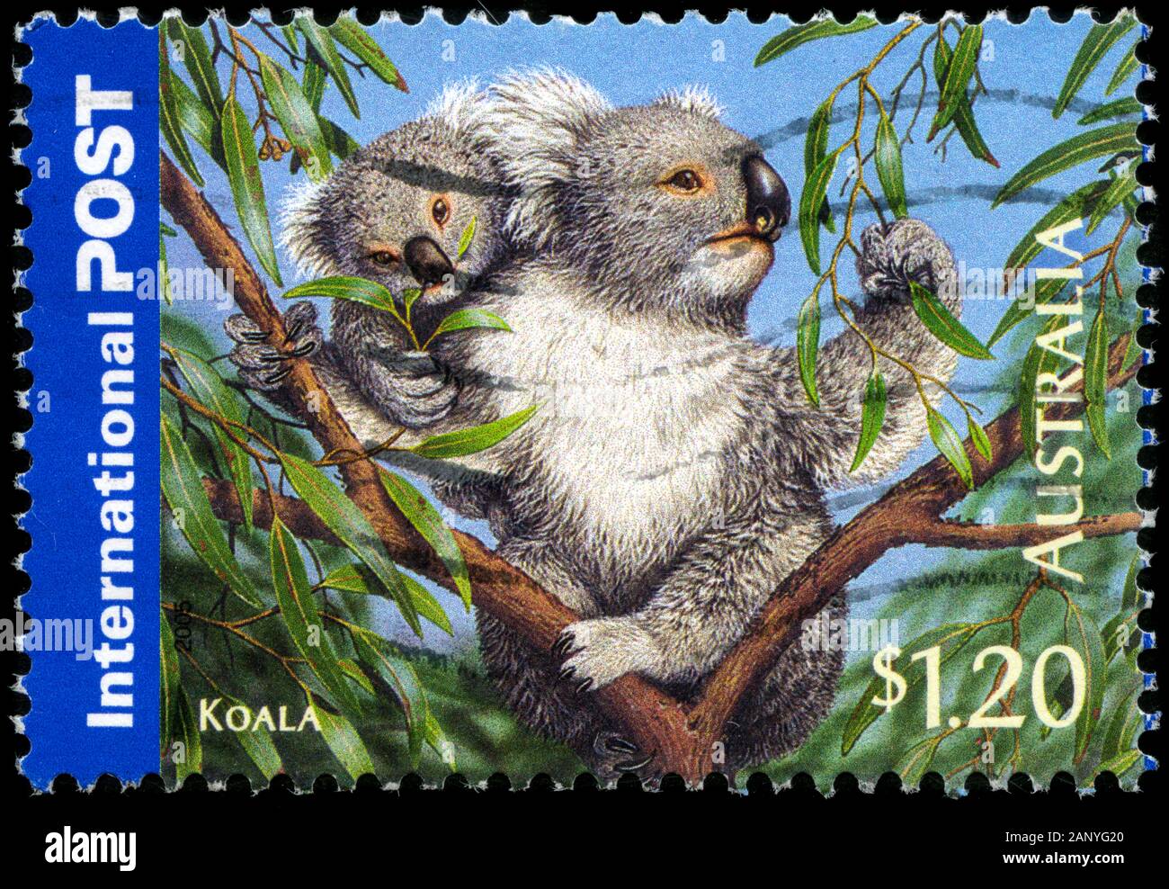 Koala australia postage stamp hi-res stock photography and images - Alamy
