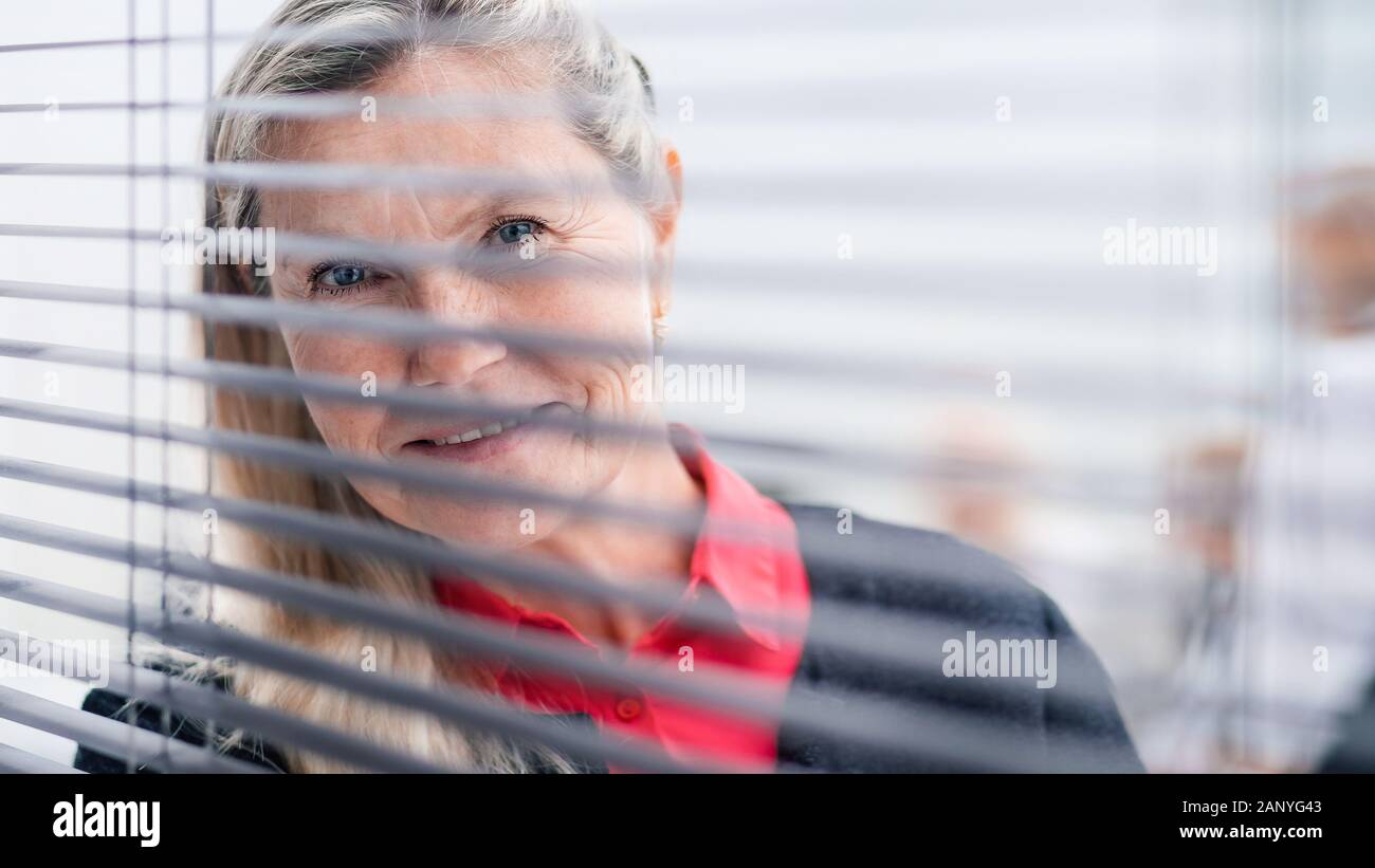 through the blinds. successful businesswoman looking through office ...