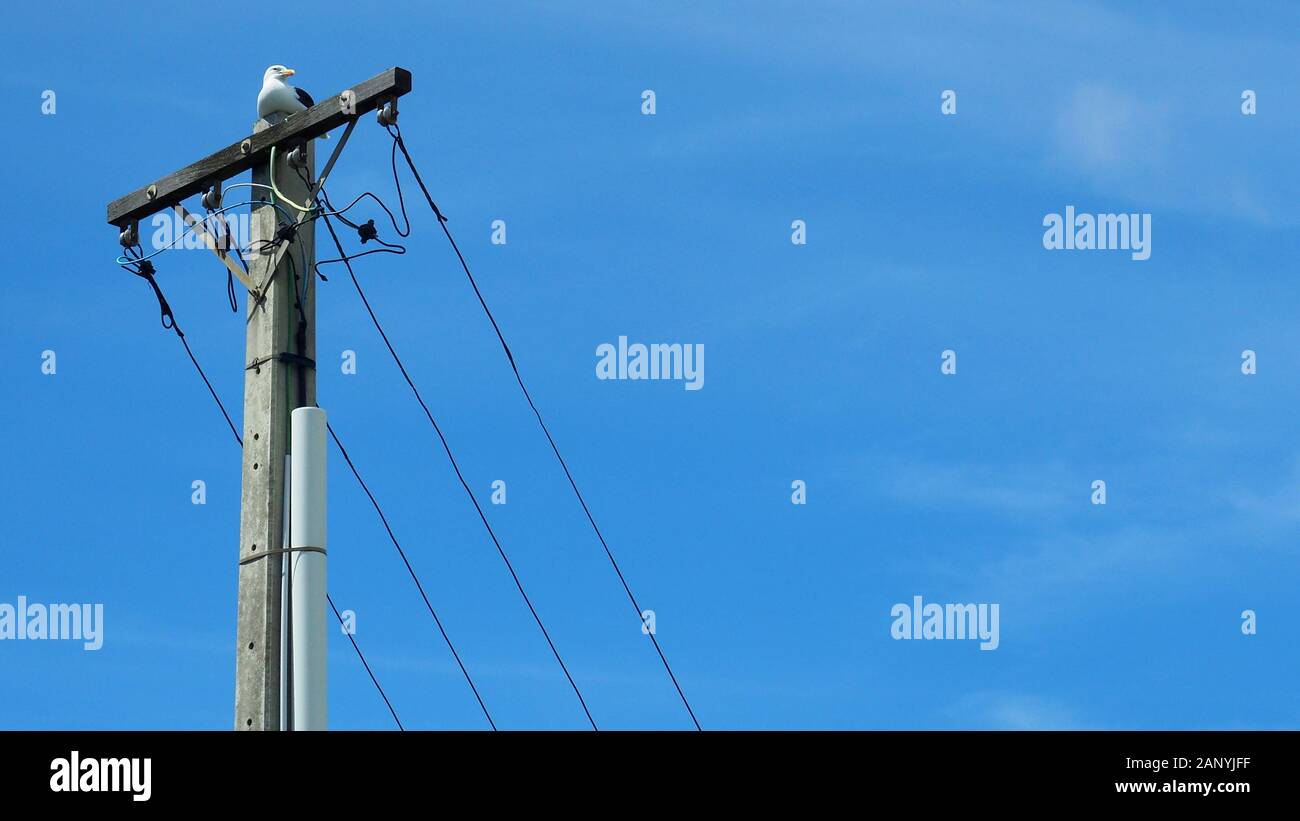 Black blacked hi-res stock photography and images - Alamy