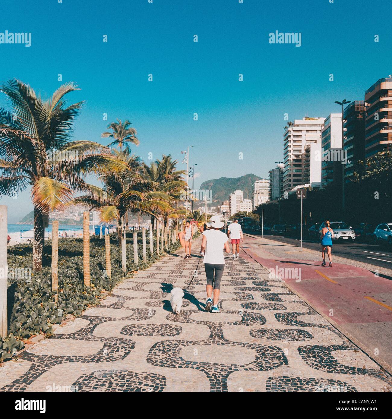 RIO DE JANEIRO, BRAZIL - Jan 16, 2020: Beautiful landscape of people ...