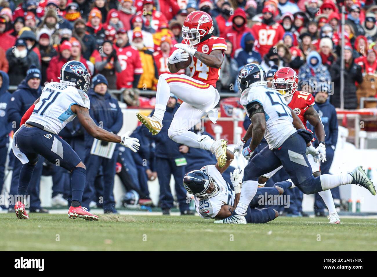 Darwin thompson hi-res stock photography and images - Alamy