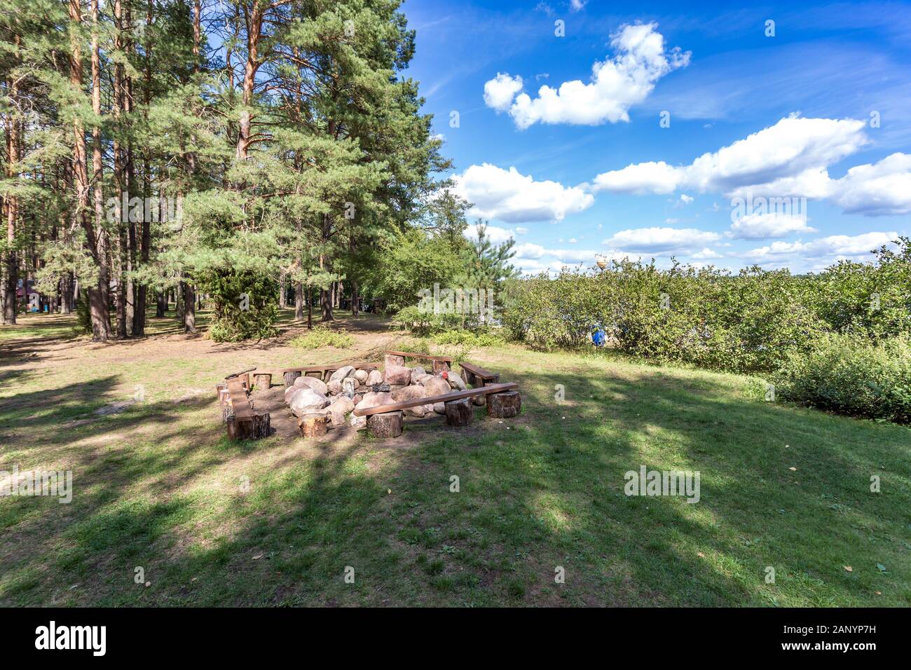 wooden camping arbors with all conviniences in a pine forest Stock ...