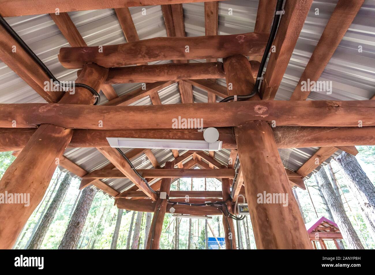 wooden camping arbors with all conviniences in a pine forest Stock ...