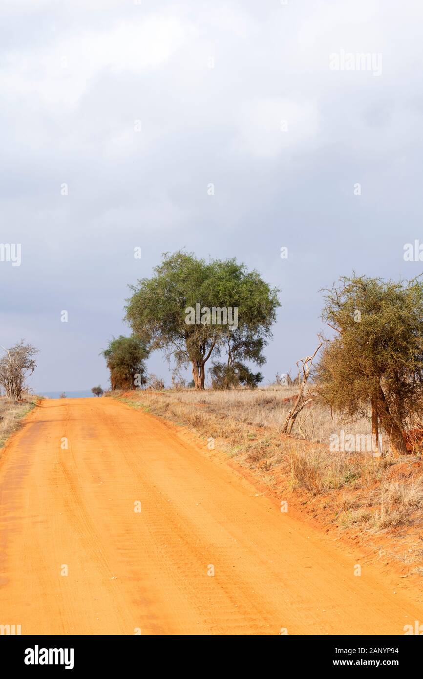 Orange colored empty off road street in the Savannah Stock Photo - Alamy