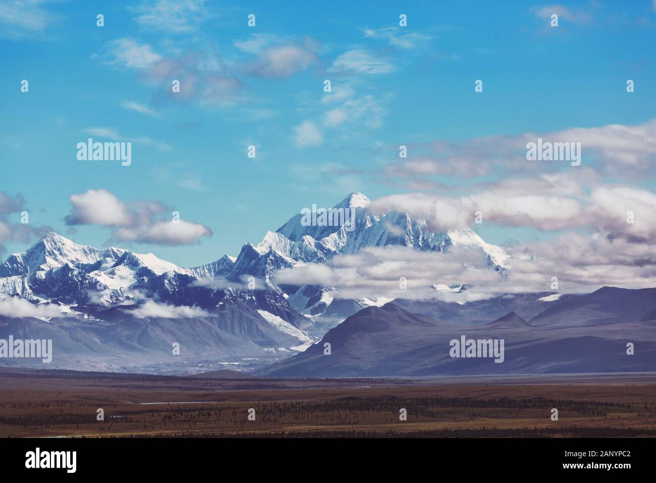 Denali National Park landscapes. Mount Denali is the highest mountain ...