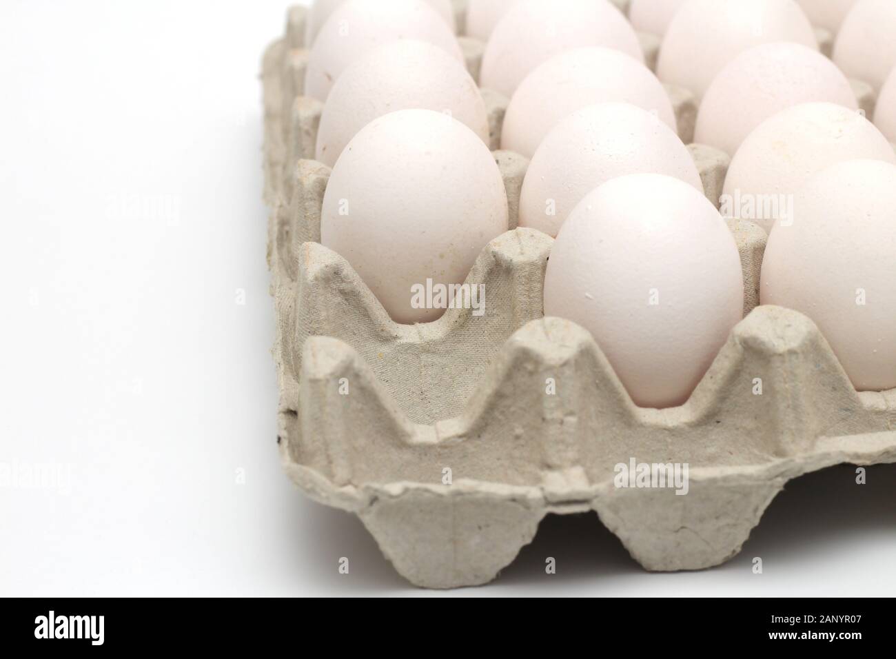 Isolated recycle tray with white eggs on a white background. Tray ...